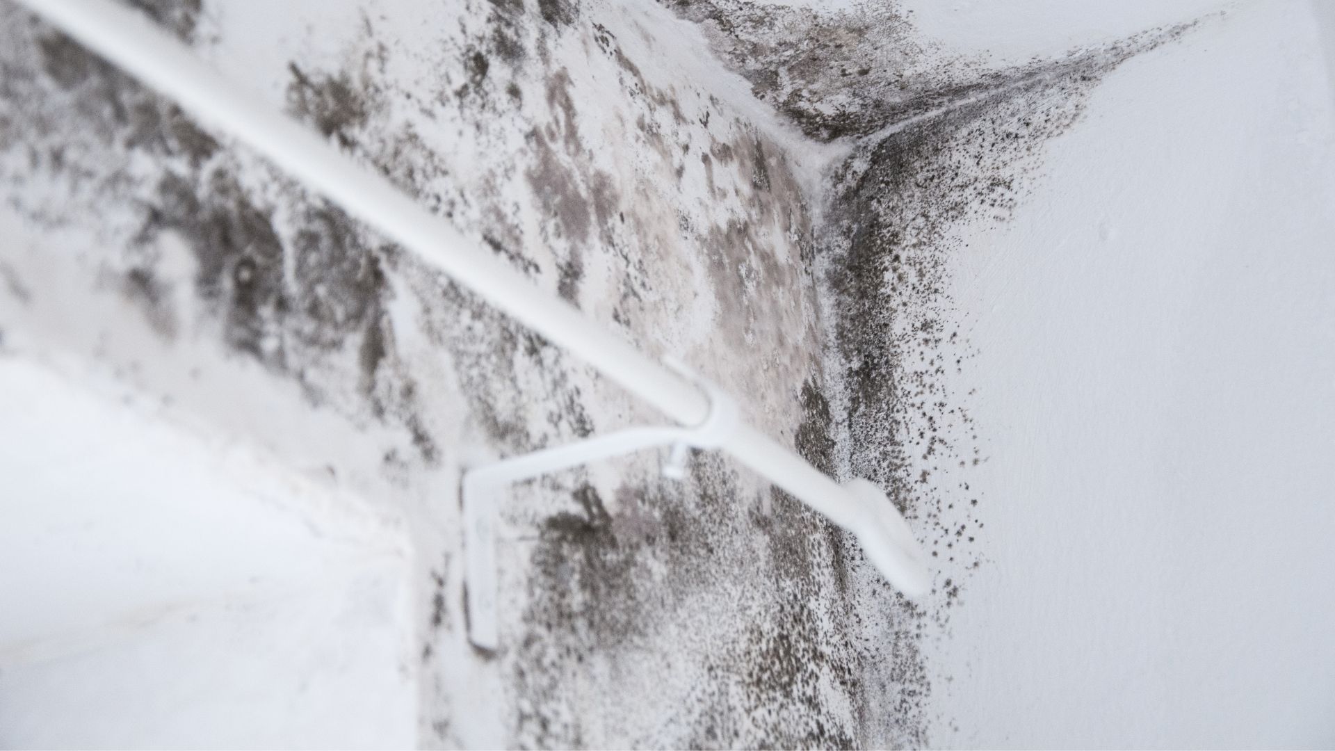 I Need Help: Professional Crime Scene and Biohazard Cleanup Services